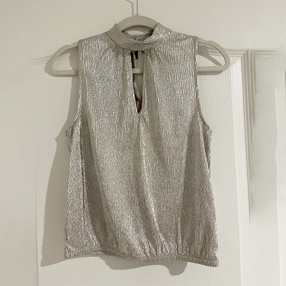 Express | Tops | Shimmering Top | Poshmark